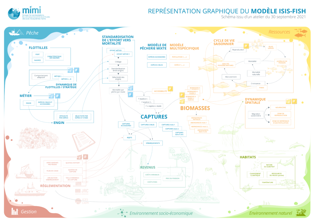 Représentation graphique du modèle ISIS-Fish - Mimi